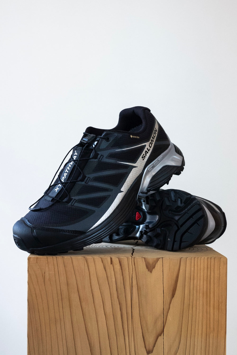 XT-PATHWAY GTX〔Black / Black / Ftw Silver〕 | cliché